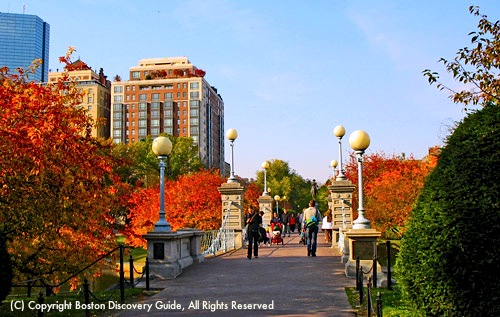 Walking In Boston s Public Garden In Early November Fun Things To Do walking-in-boston-s-public-garden-in-early-november-fun-things-to-do
