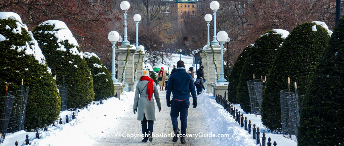 Boston Discovery Guide: Plan Your Boston Vacation