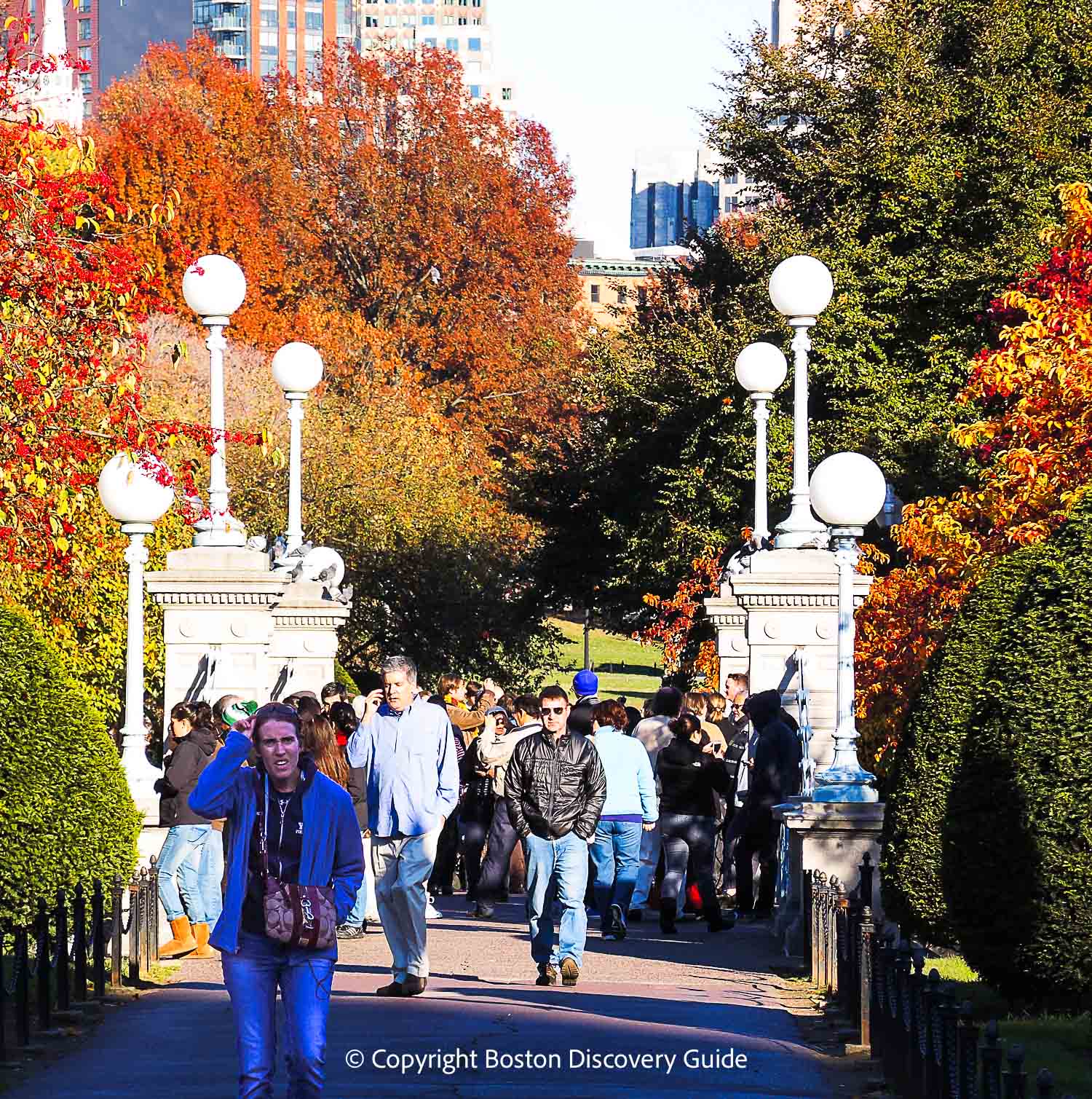 Boston Fall Foliage 2025 - 11 Best Places to See It