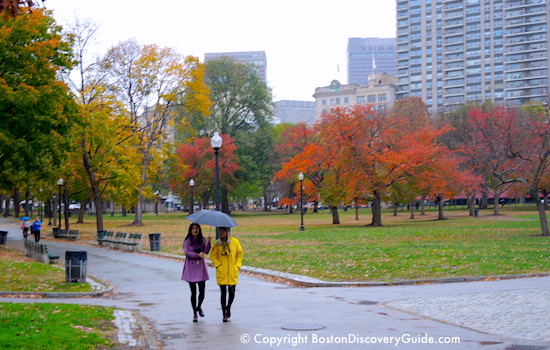 Boston Itinerary: Rainy Day Walking Tour