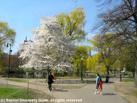 Boston Weather in April | Boston April Weather Forecast