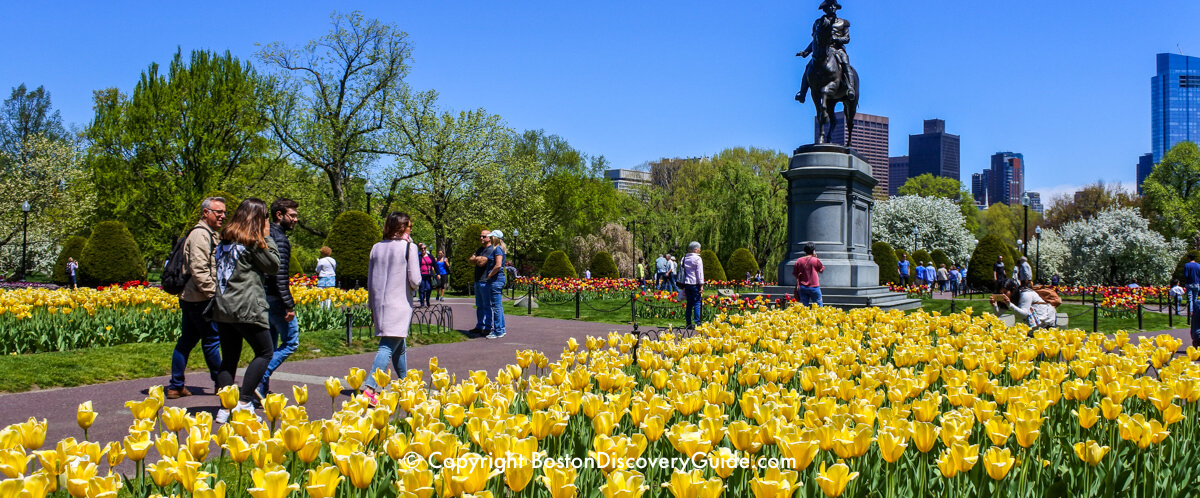 Boston Discovery Guide: Plan Your Boston Vacation