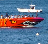 Boston Harbor Cruises | Sightseeing | Dinner | History